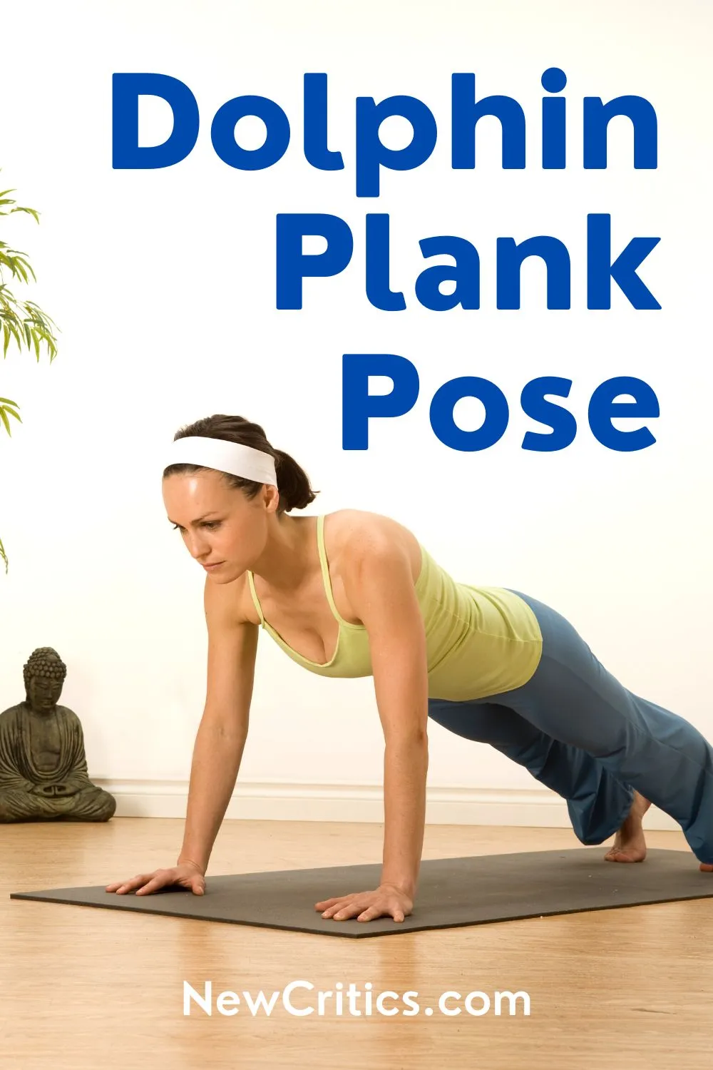 Dolphin Plank Pose Yoga : NewCritics.com