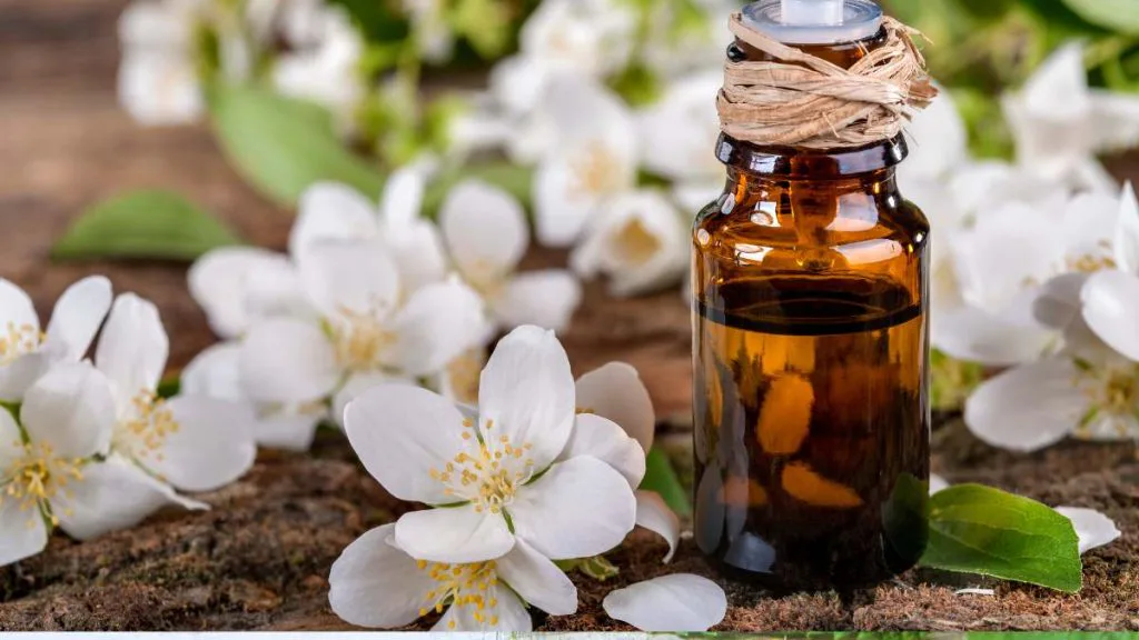 What Are Real Essential Oils?
