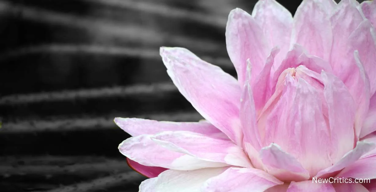 5 Inspiring Spiritual Self-Care Examples To Try Today