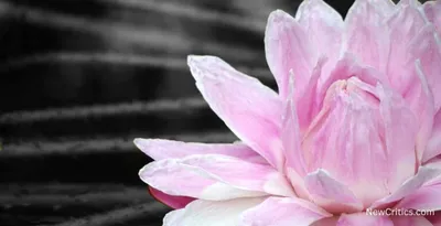 5 Inspiring Spiritual Self-Care Examples To Try Today