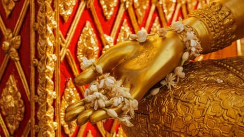 From Peace to Power: The Deeper Meaning of Buddha’s Mudras