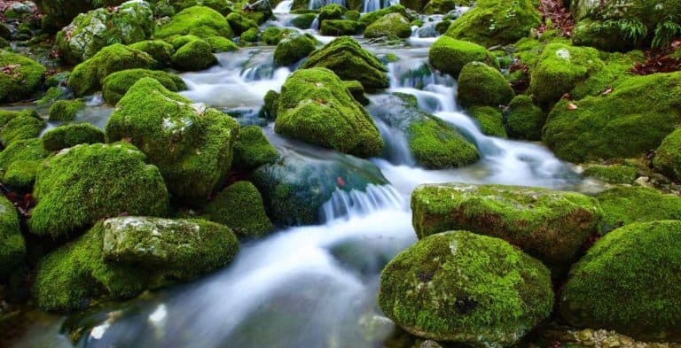 Unlocking The Power Of Mindfulness – The 8 Pillars You Need To Know