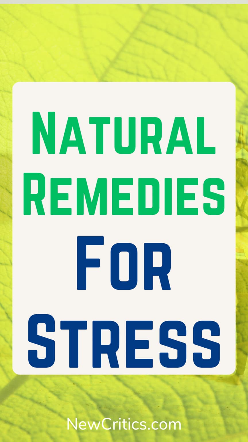 Exploring the Connection Between Nature and Mental Well-Being