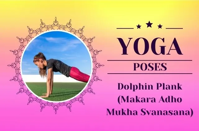 How To Do Dolphin Plank Pose (Makara Adho Mukha Svanasana) : NewCritics