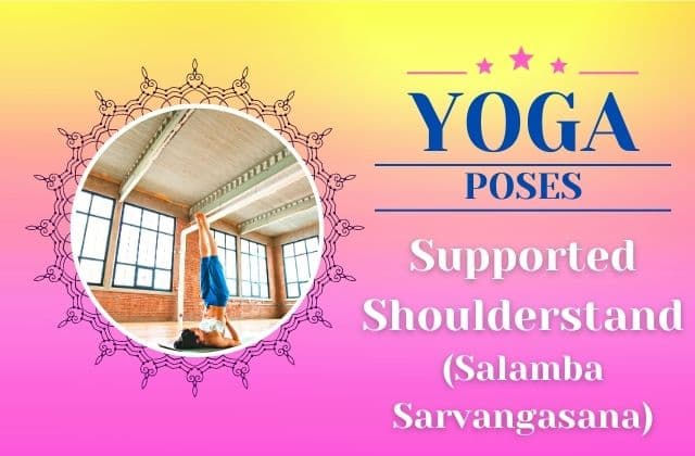 How To Do Supported Shoulderstand (Salamba Sarvangasana) : NewCritics